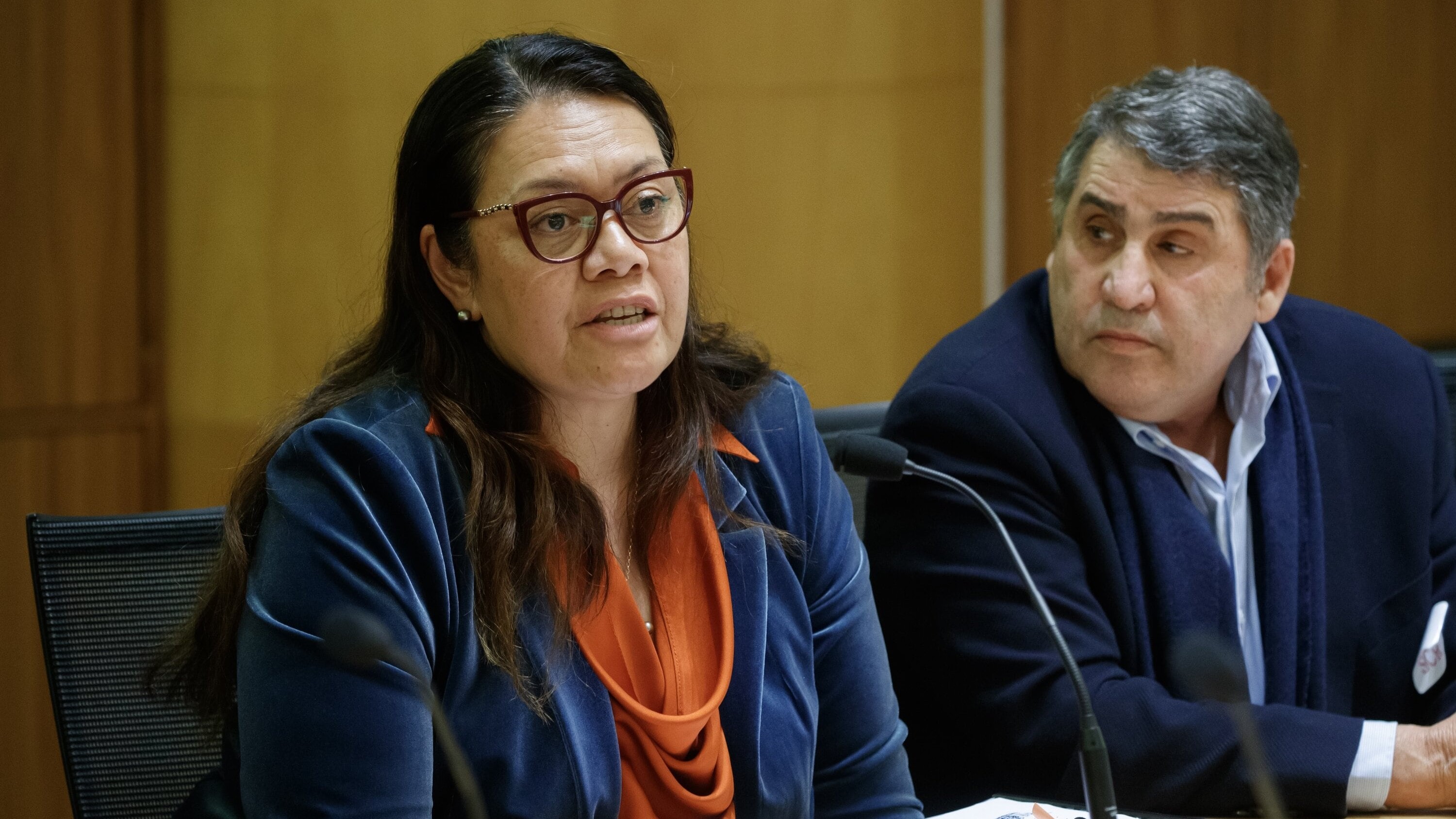 Health NZ Commissioner Lester Levy overruled CEO Margie Apa on proposed ...