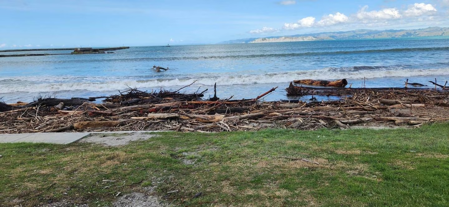 Gisborne beach tragedy: 9000 locals sign petition for overhaul of ...