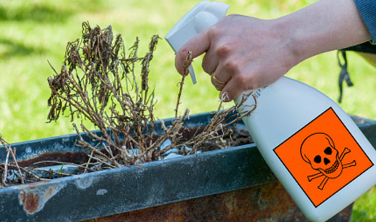 DDT dumping "an unbelievable thing to do"