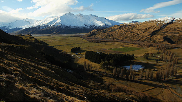 Rabobank Rural Confidence Survey finds farmer confidence at historic low