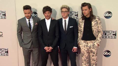 One Direction Breaking Up For Good?