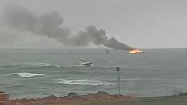 Environment mostly unharmed by ferry fire