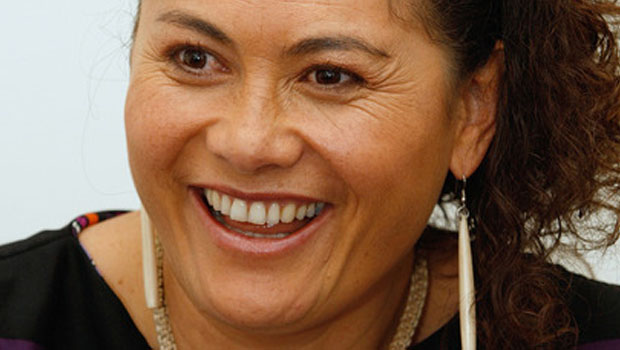 MPs to present MMP paper in Sydney