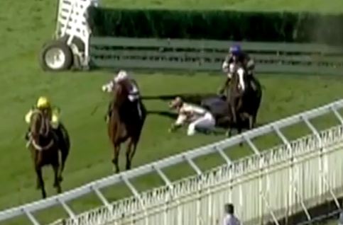 Investigation launched after three racehorses die in one day