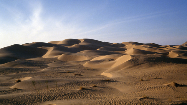 Migrants abandoned by smuggler found dead in Niger desert