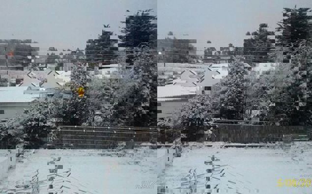 PHOTOS: Snowfall in Dunedin