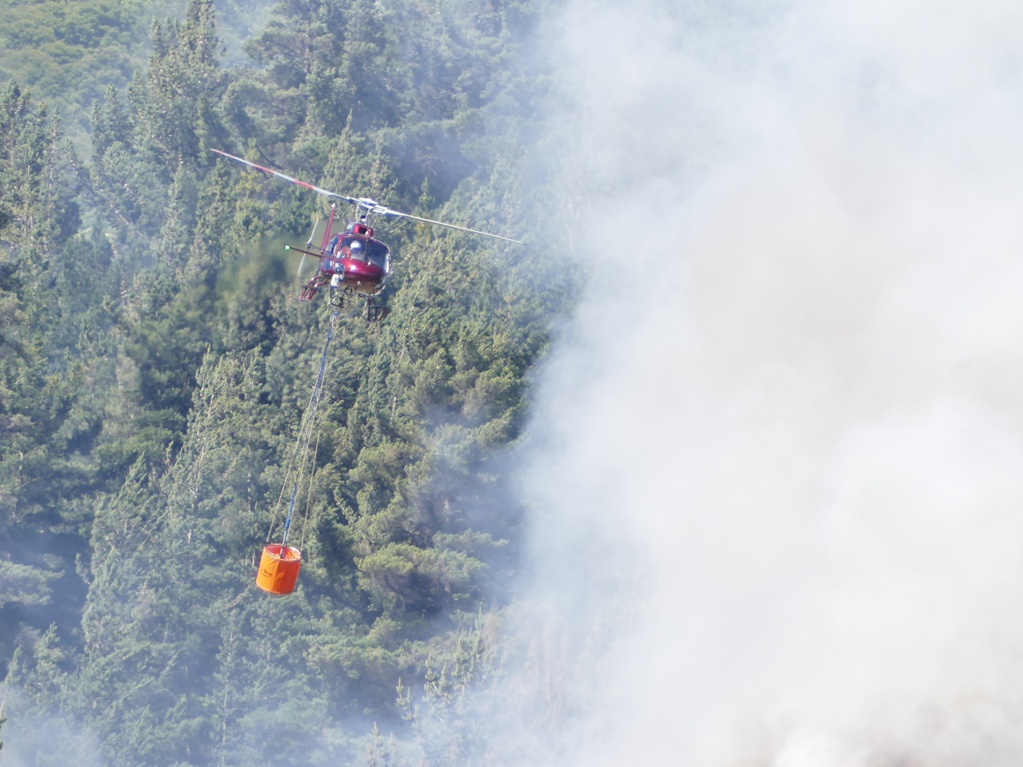 Signal Hill fire contained, roads closed overnight