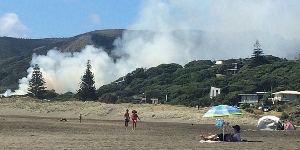 Piha now fire under control