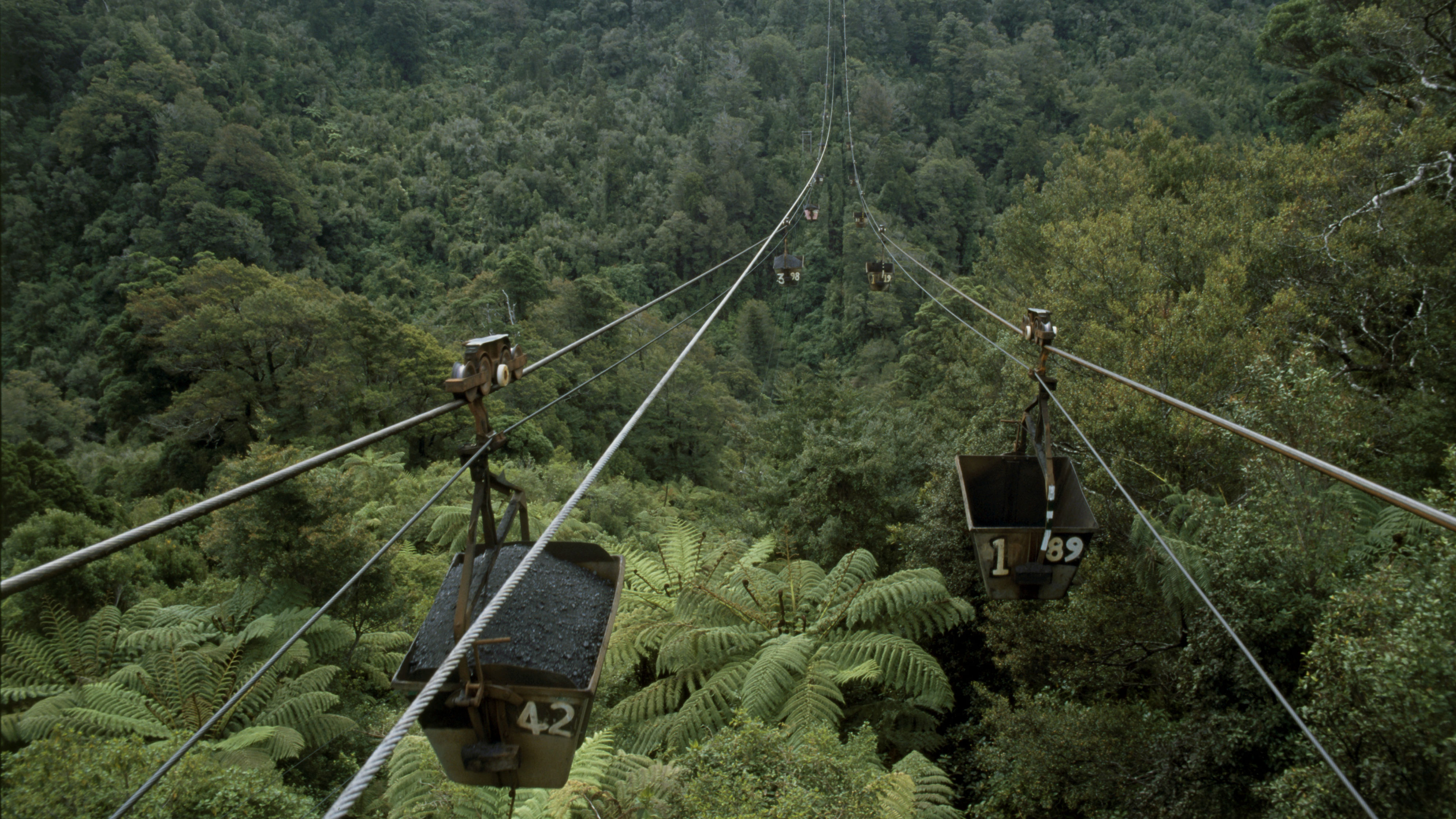 Govt's move against coal mining 'breath of fresh air' - Forest and Bird