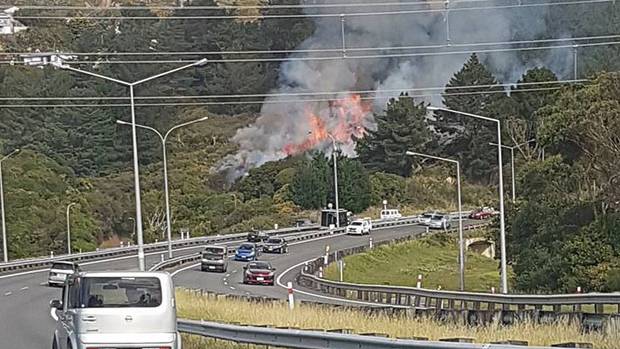 Bush fire closes part of SH1 in Wellington