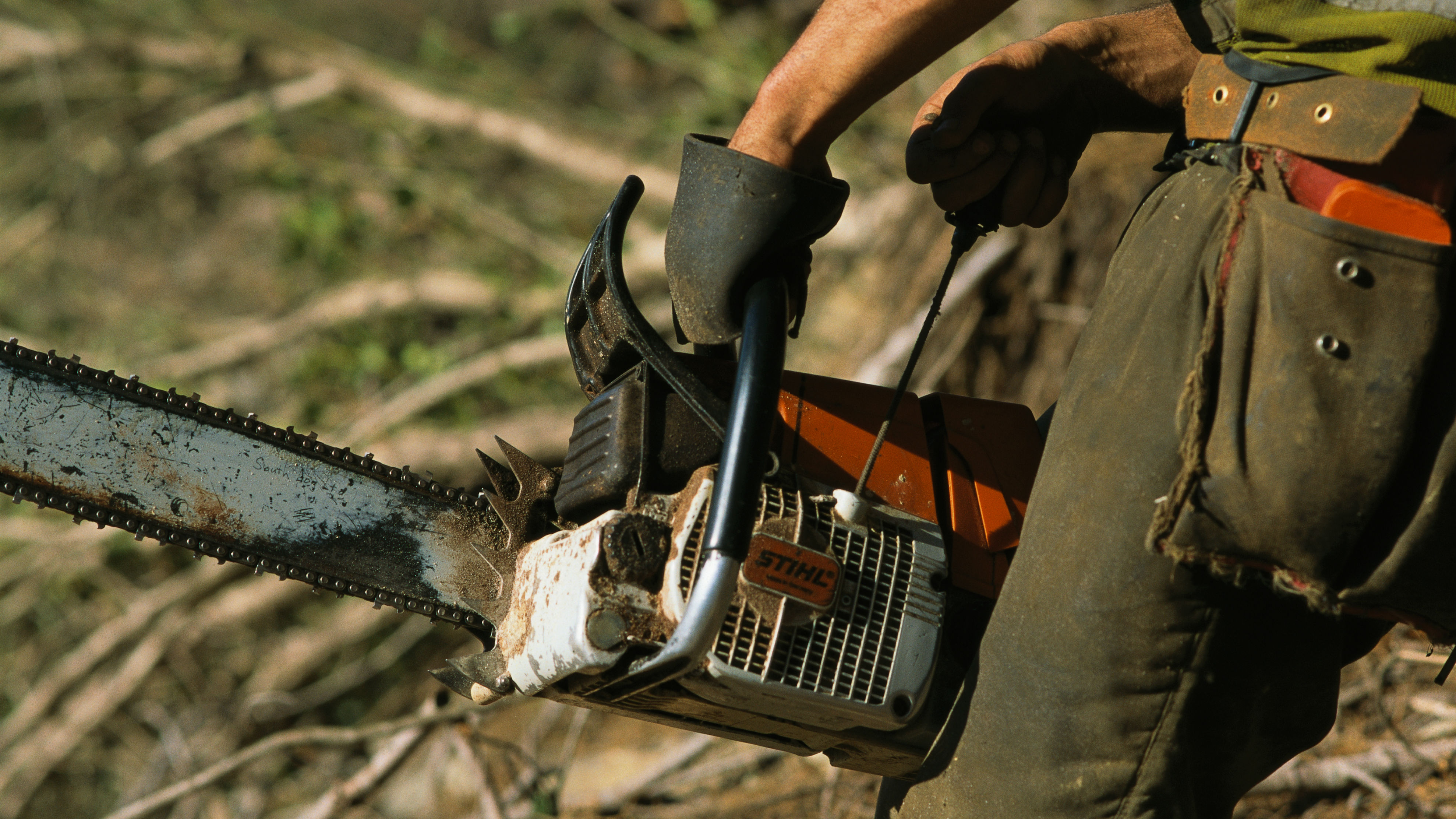 Shock and dismay after fourth forestry death of the year