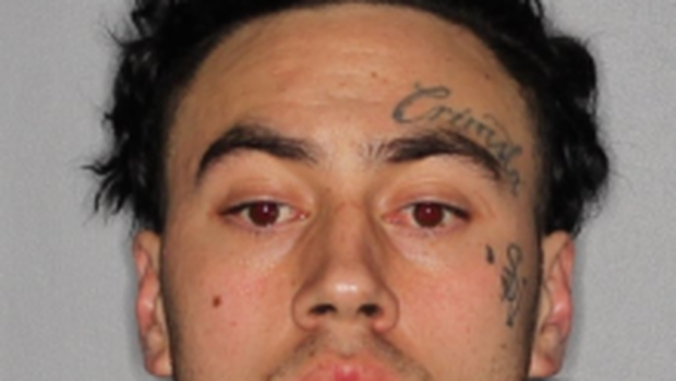 Dangerous man on the run - police seek help