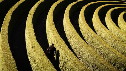'Heartbreaking' vandalism at Rotorua tourism attraction