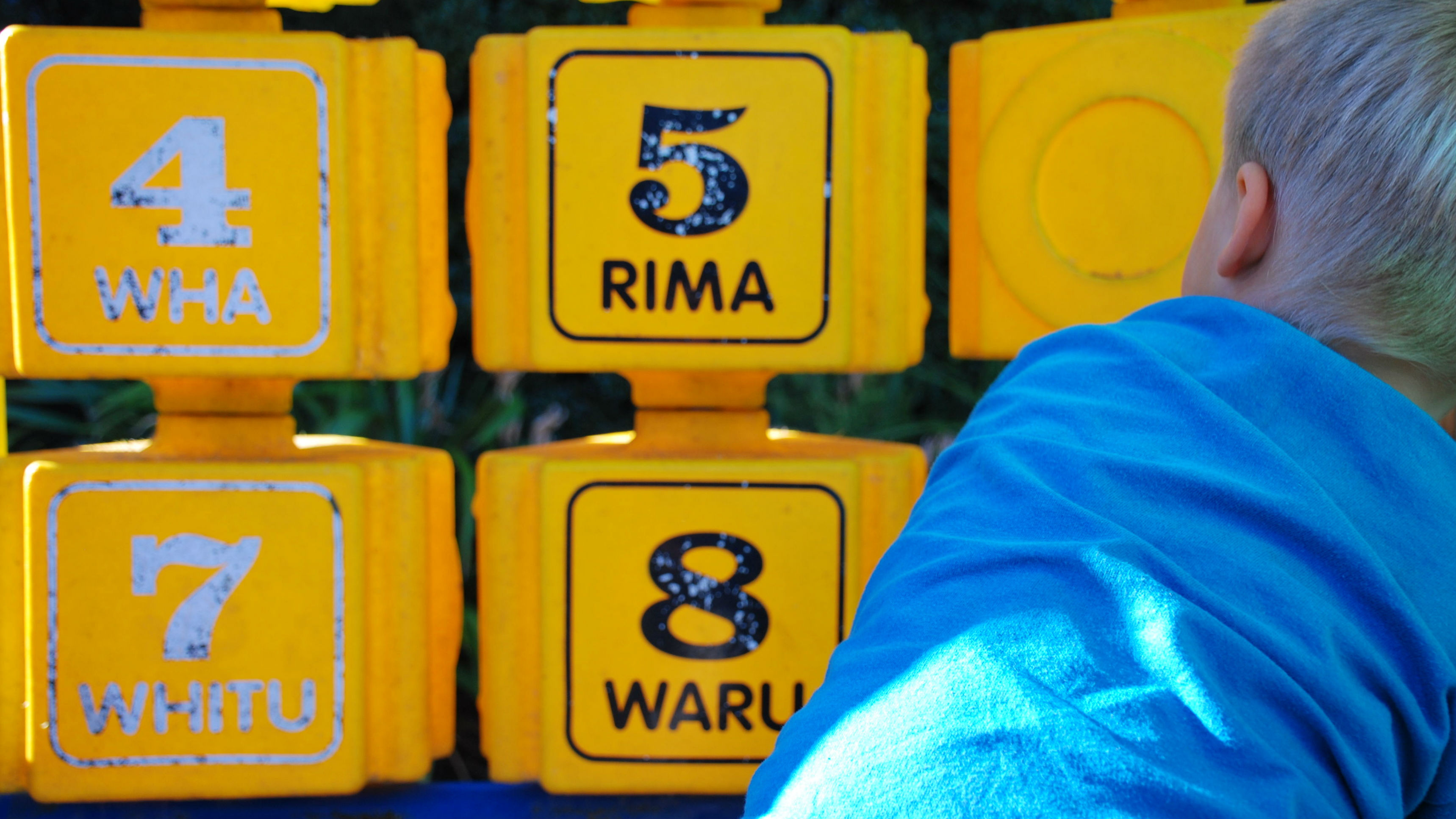 Govt wants one million Kiwis speaking te reo by 2040