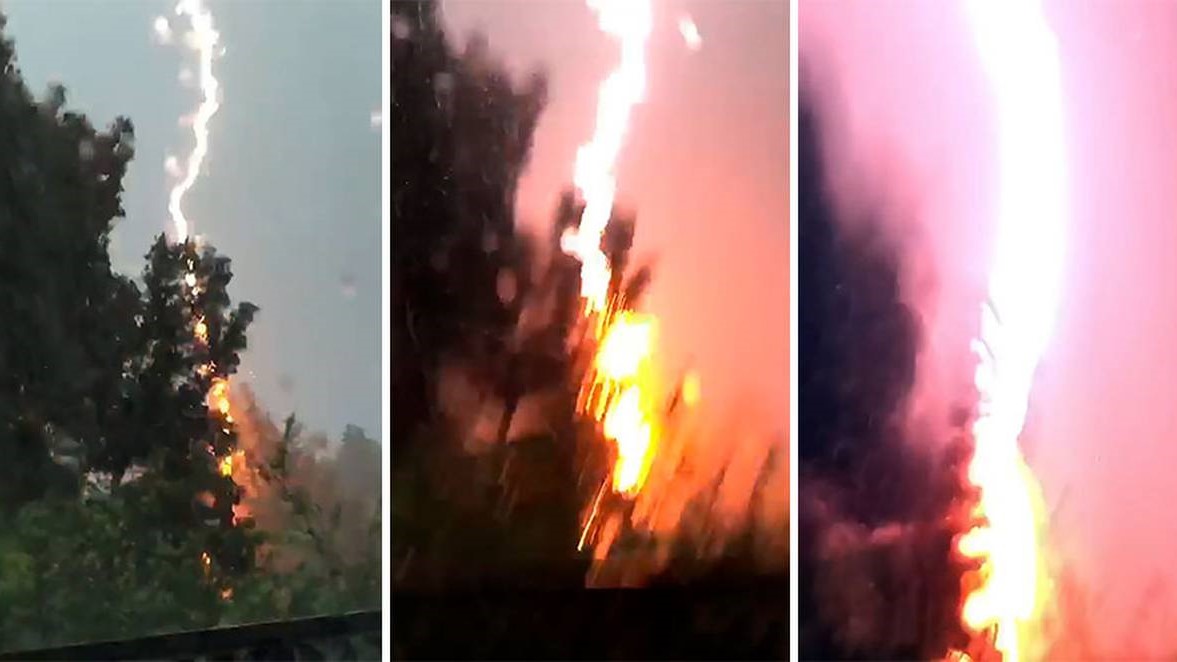 Watch: Incredible moment lightning strikes tree, explodes
