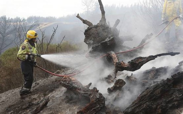 Second Nelson fire treated as suspicious