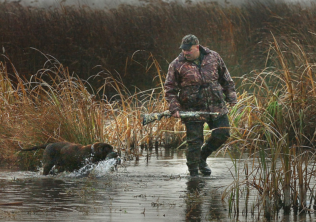 Rowena Duncum: Duck shooting season begins