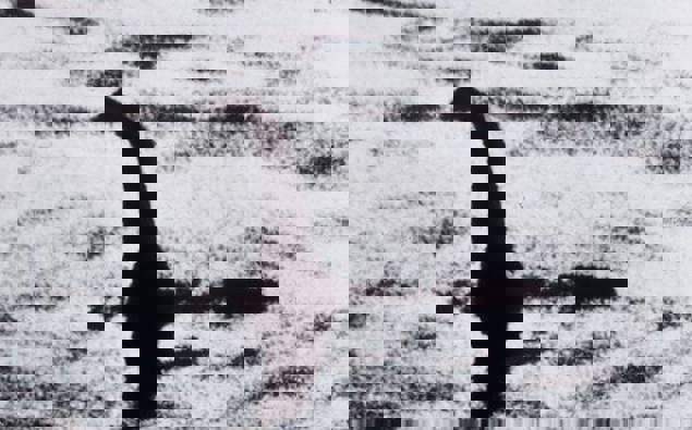 NZ scientist's big reveal: Does Nessie exist?