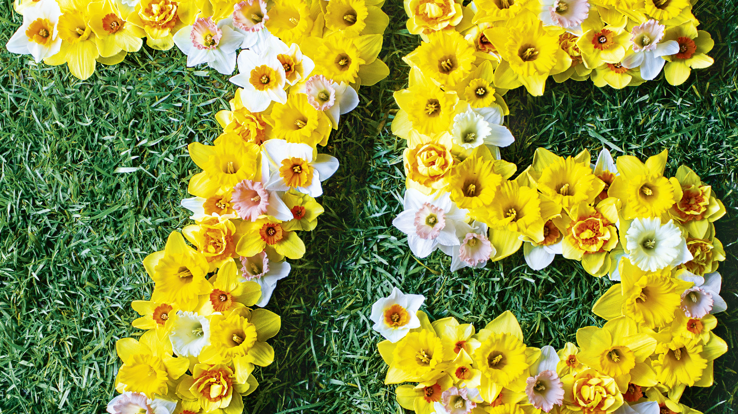 New Zealand Gardener celebrates 75 years in print