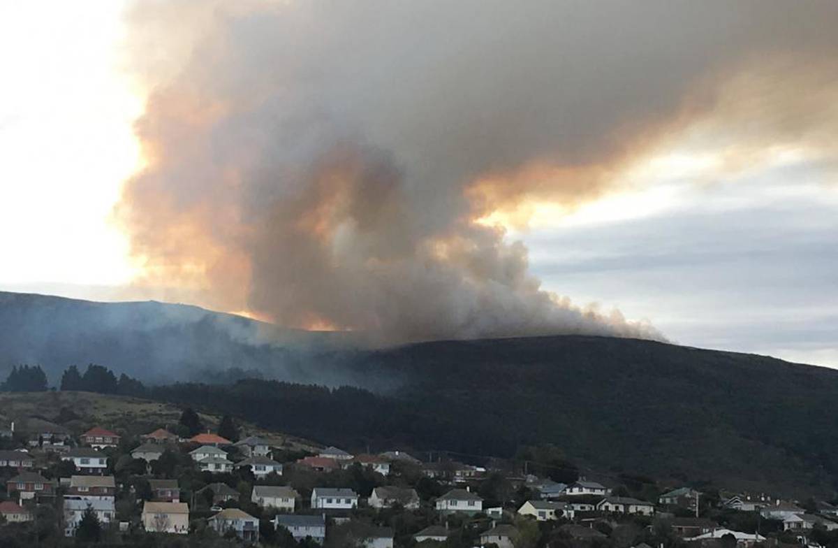 Giant vegetation fire sends plumes of smoke over Dunedin, properties ...