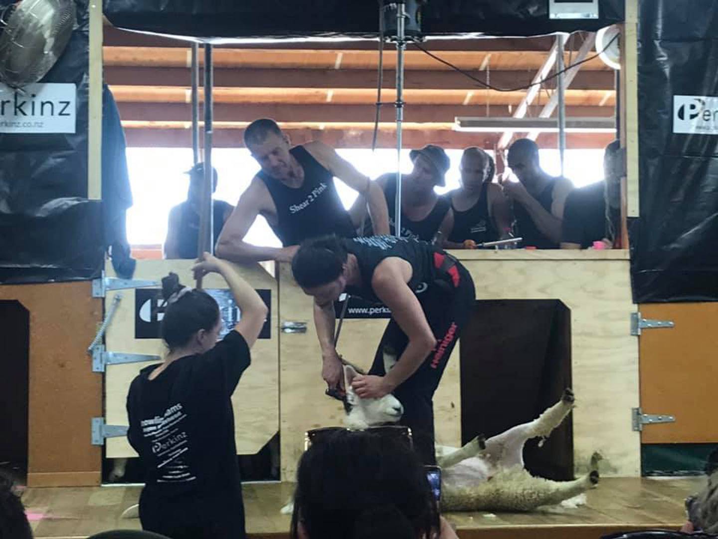 Gore's Megan Whitehead breaks world record for sheep shearing