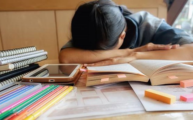 John Cowan: Is homework a waste of time?