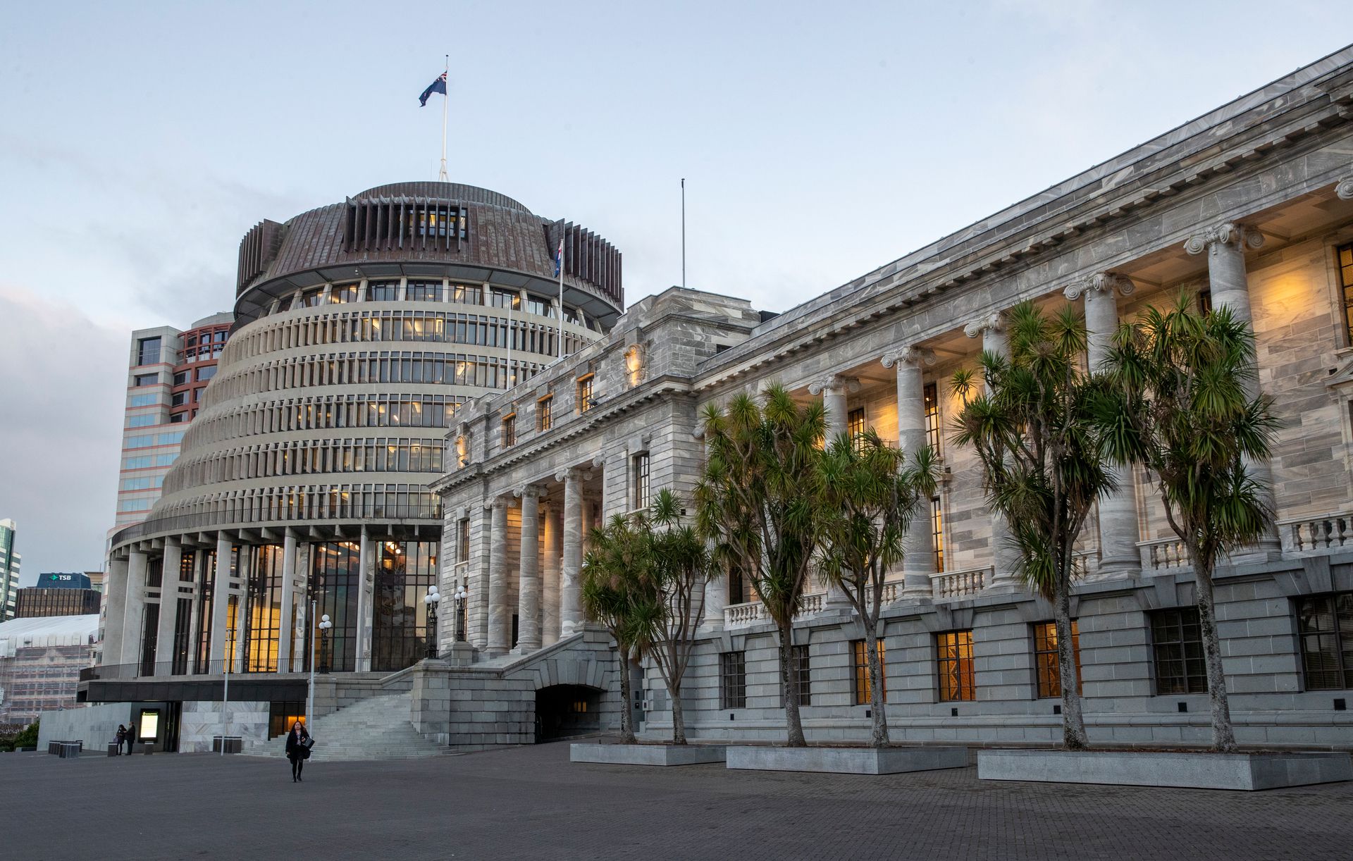 Pollies: Food prices, housing intensification and Queen's public holiday