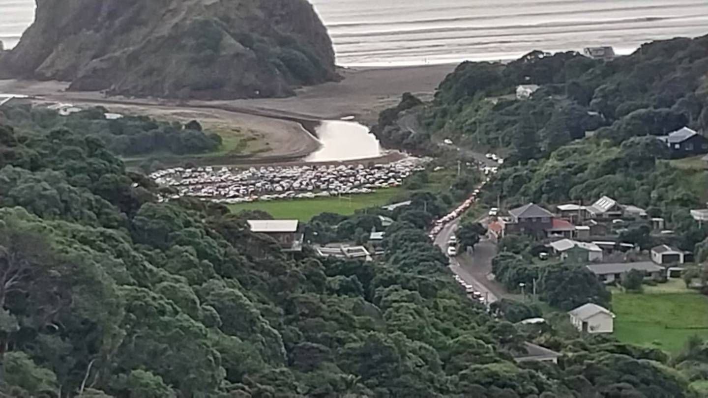 'The noise was unreal': Hundreds of cars swamp Piha