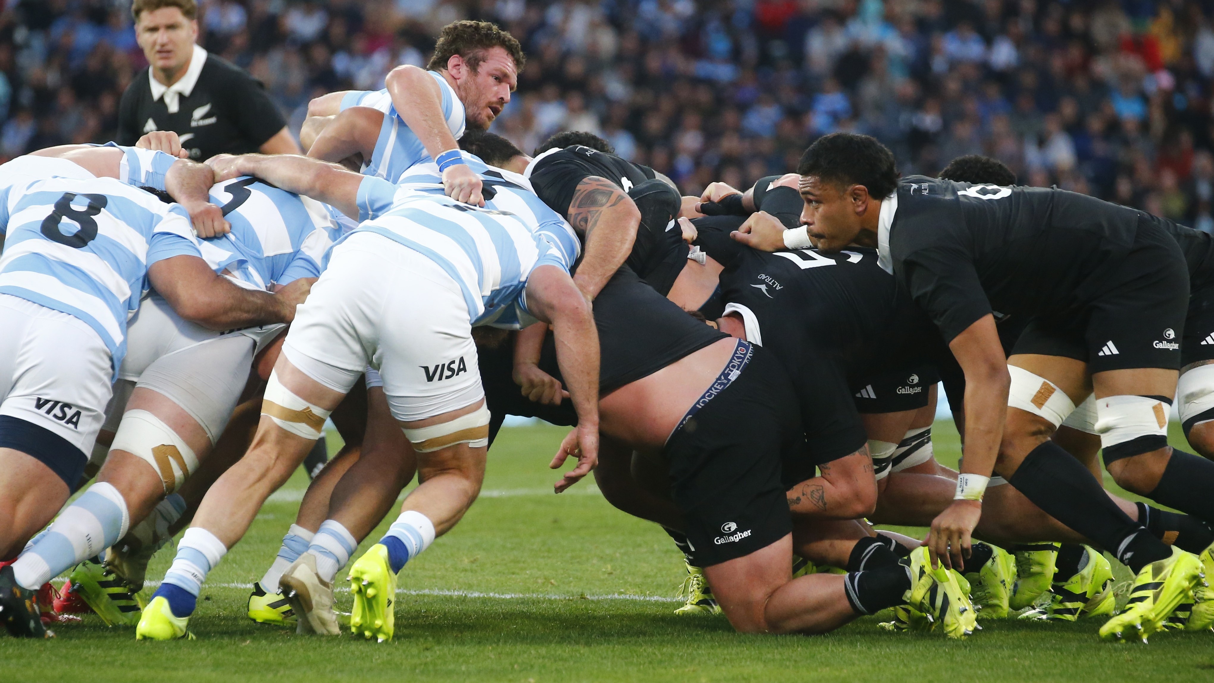 ABs and Springboks are indistinguishable ahead of Eden Park showdown ...