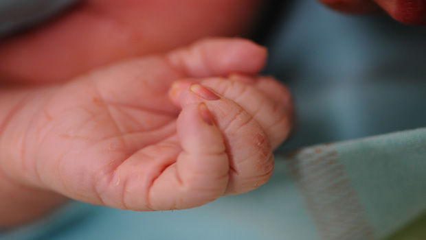 Cut in cost of Maroney bill not enough