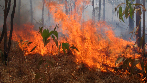 Bushfire spreads in Western Australia