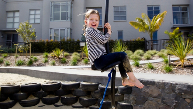 Flying fox disabled for excessive noise