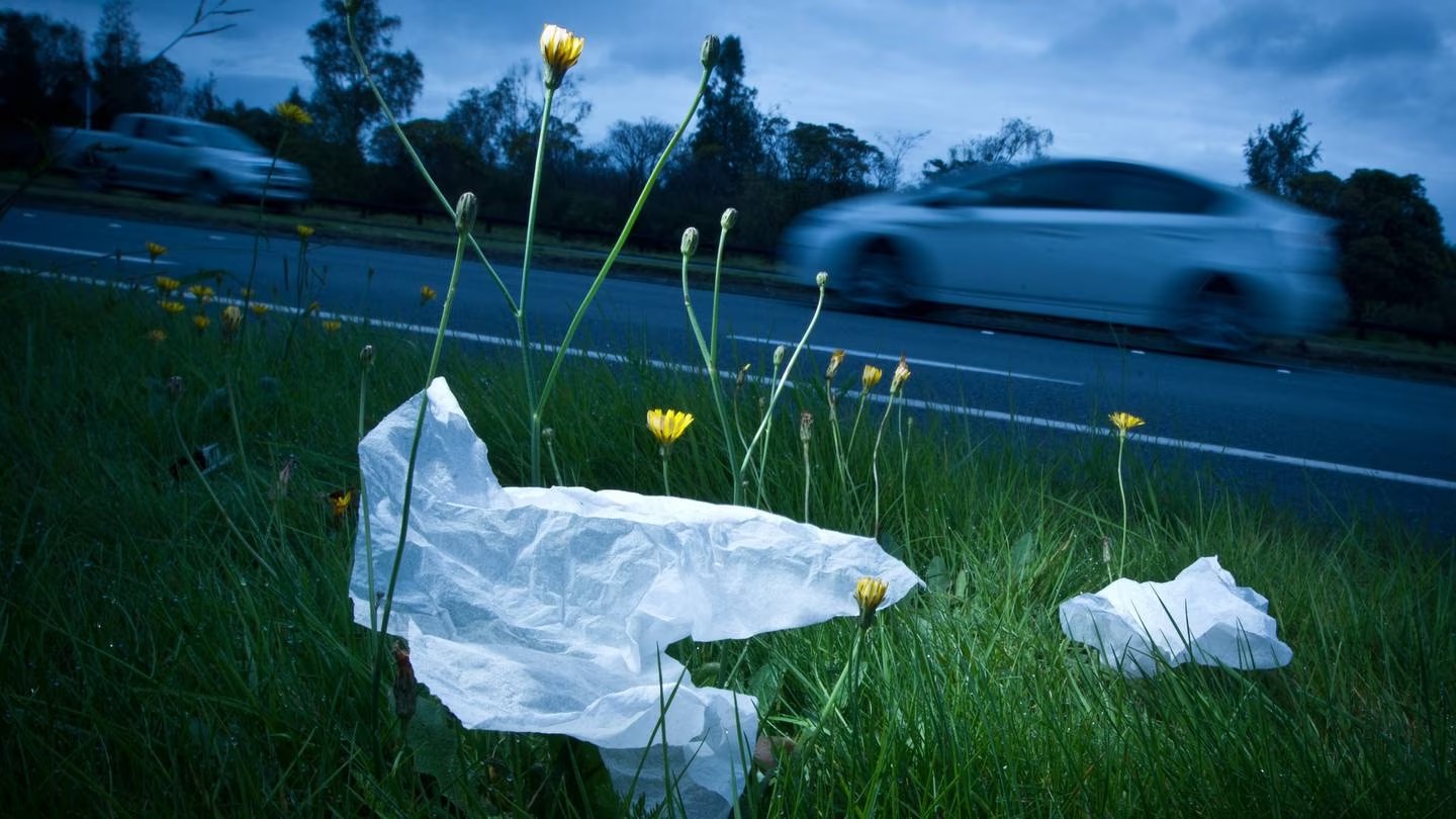 National Litter Audit finds 72 pc increase in plastic since 2019
