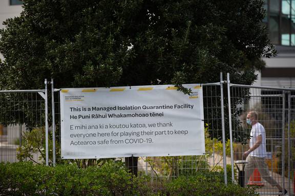 Francesca Rudkin: There is something comforting in the Grounded Kiwis ...