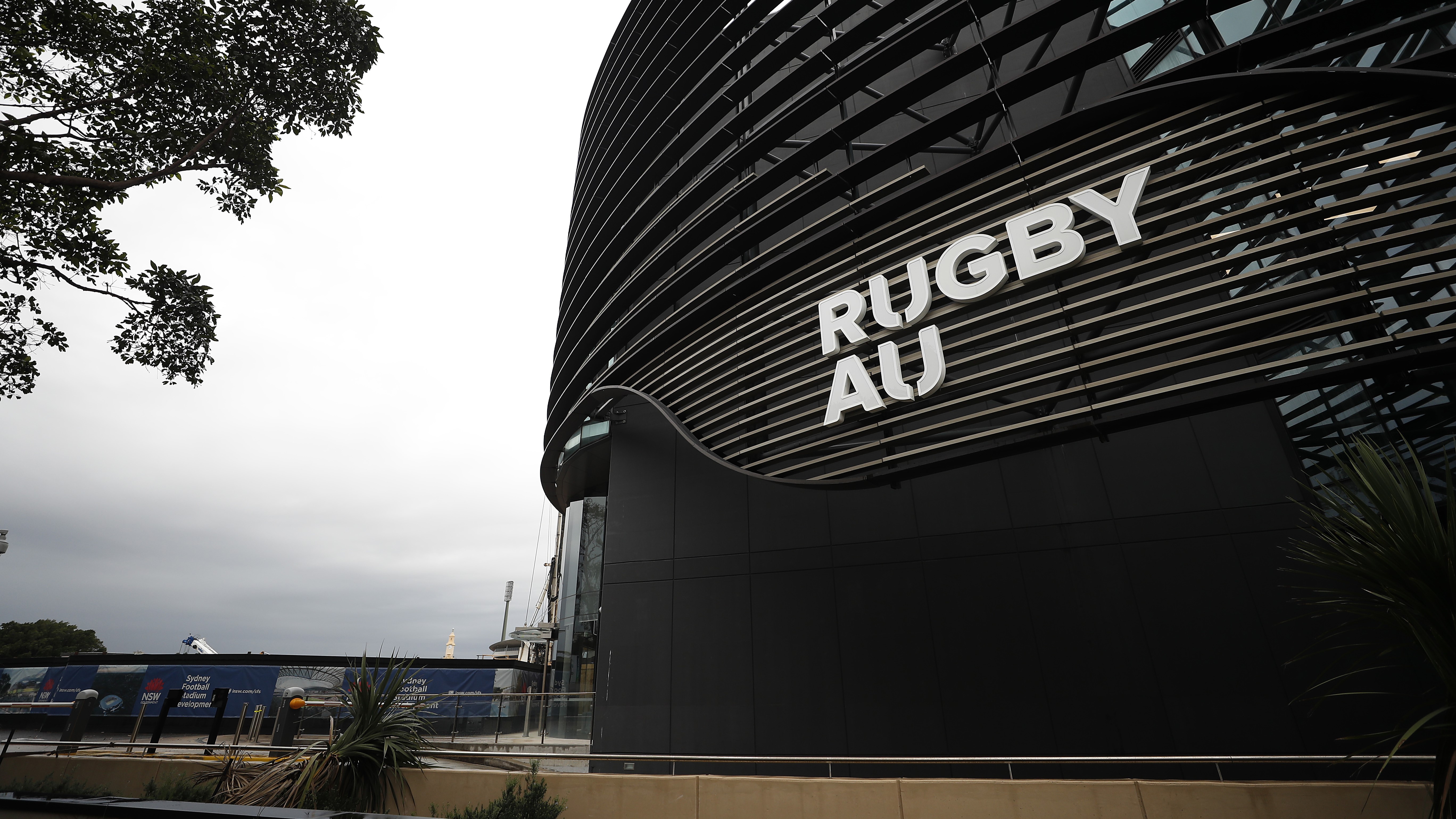 Who's Australian Rugby's new saviour?