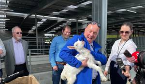 National Party leader Christopher Luxon milks the goat vote