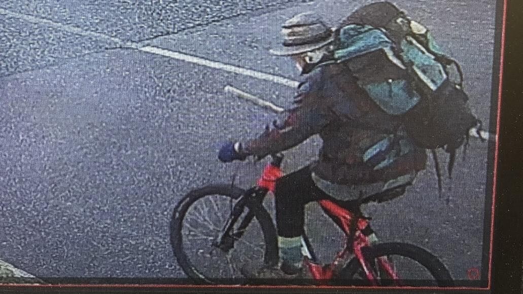 Search for missing tramper Roy Arbon enters fifth day