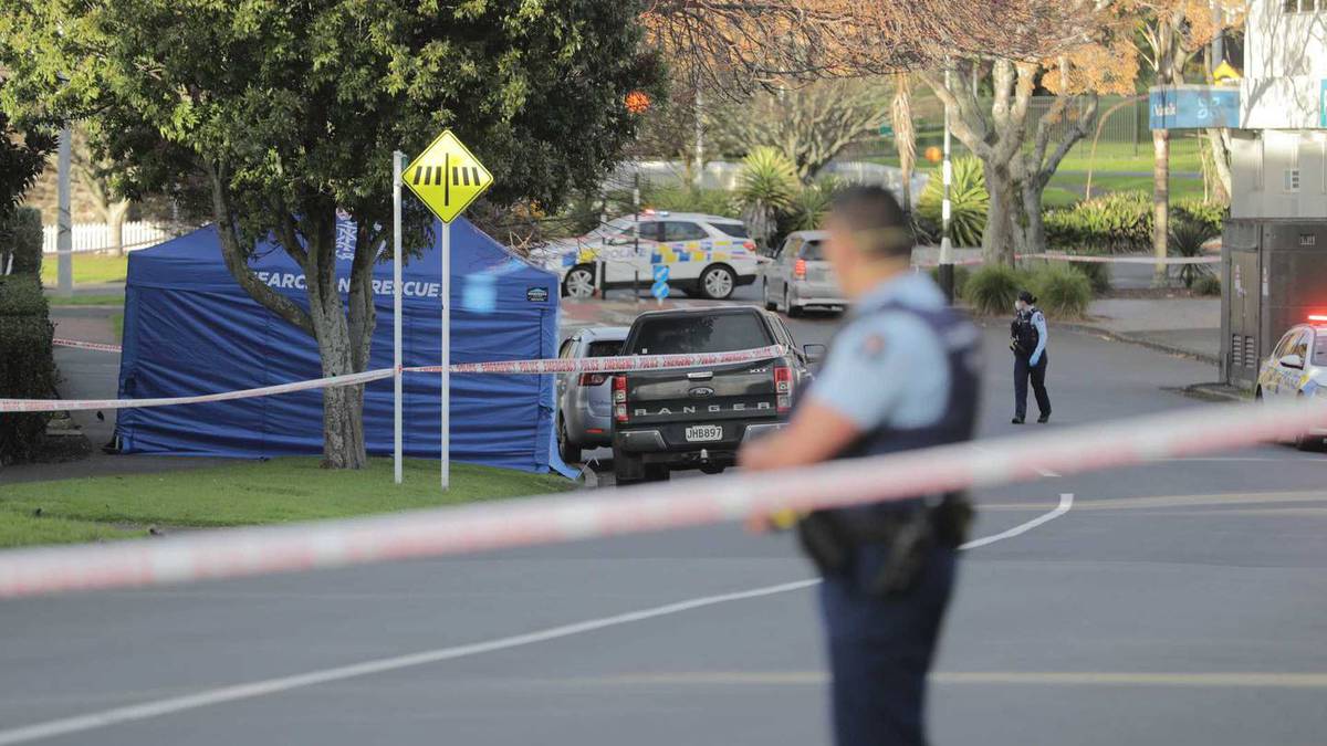 Lockdown stabbing: Auckland man pleads guilty to murder of 52-year-old