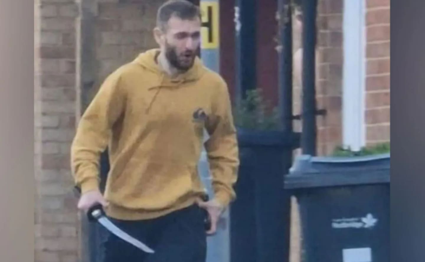 Schoolboy killed after sword-wielding man attacks passersby in London