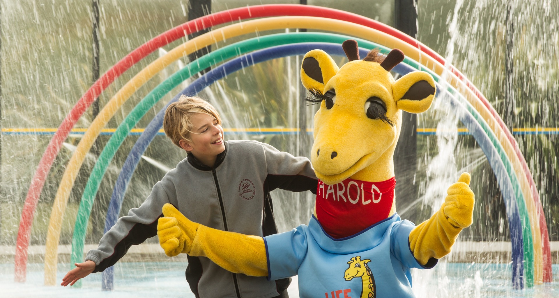 Charity teams up with Healthy Harold to help young people with mental ...