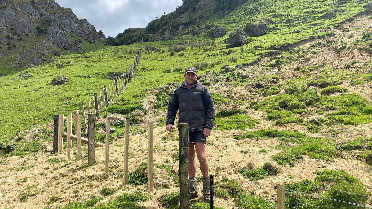 'Every little bit helps': Kiwi farmers impacted by Cyclone Gabrielle ...