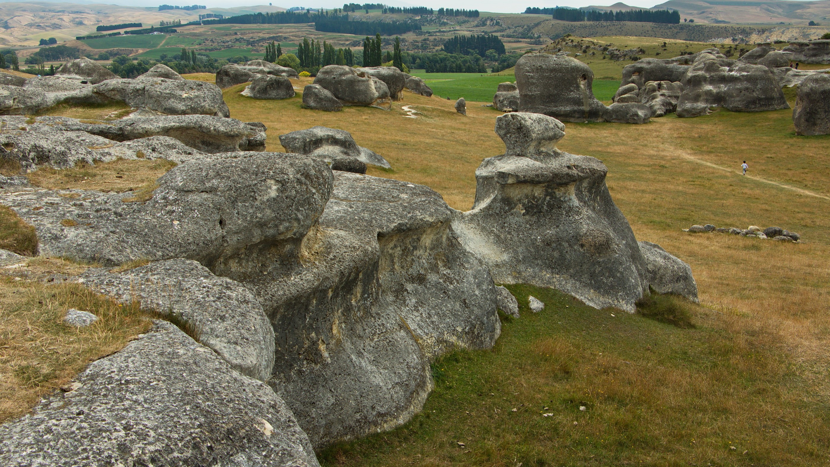 See the stories in Waitaki District