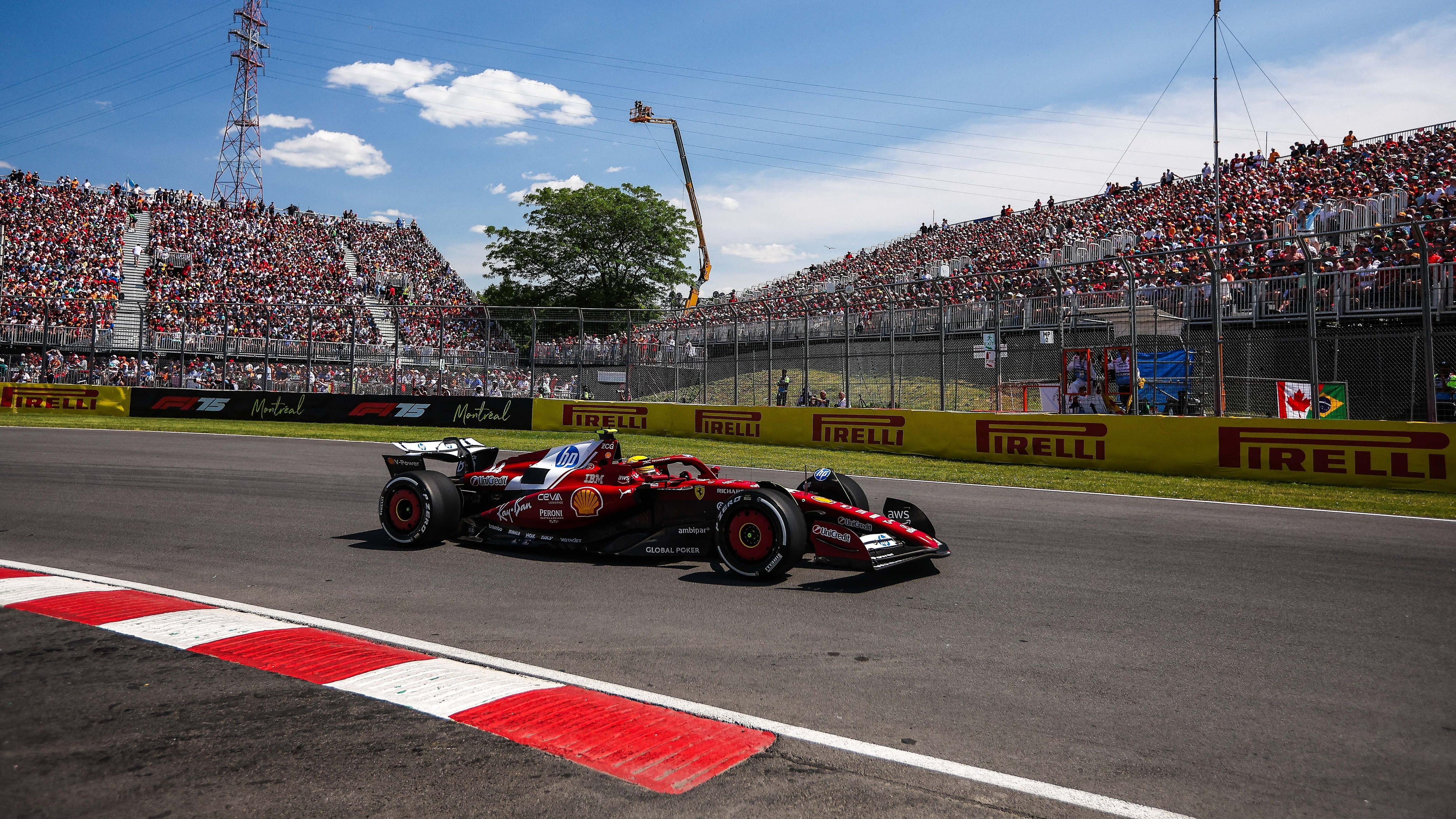 Formula 1: Lewis Hamilton ‘devastated’ after hitting groundhog in ...