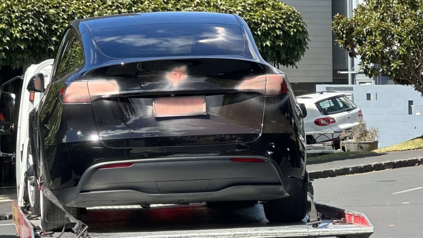 Teslas targeted by spray paint pest, cars left undrivable, owners fear ...