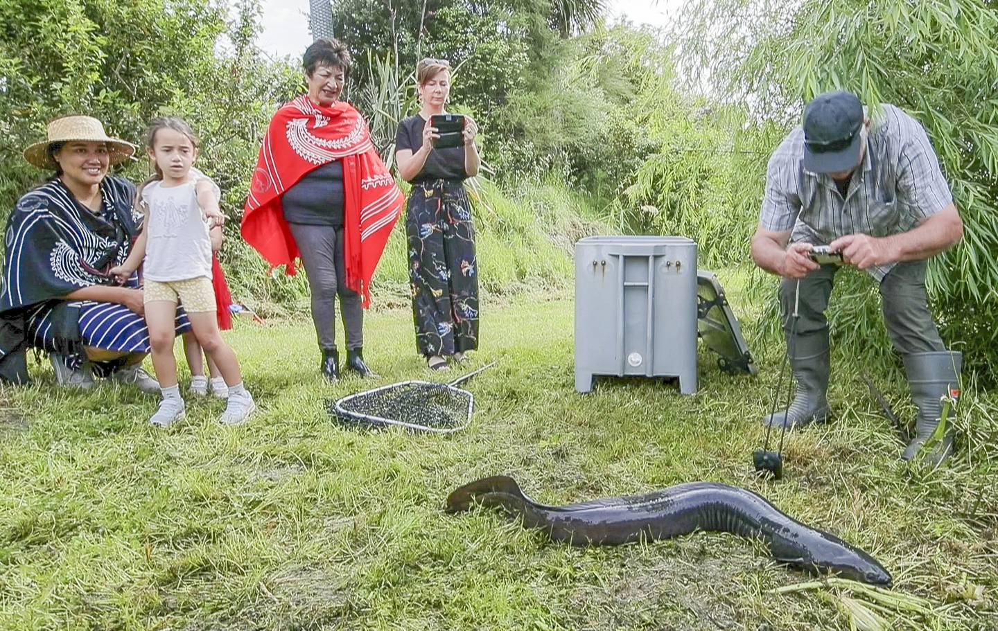 One long-fin tuna and a short-fin tuna have spent more than 10 years at Napier's National Aquarium