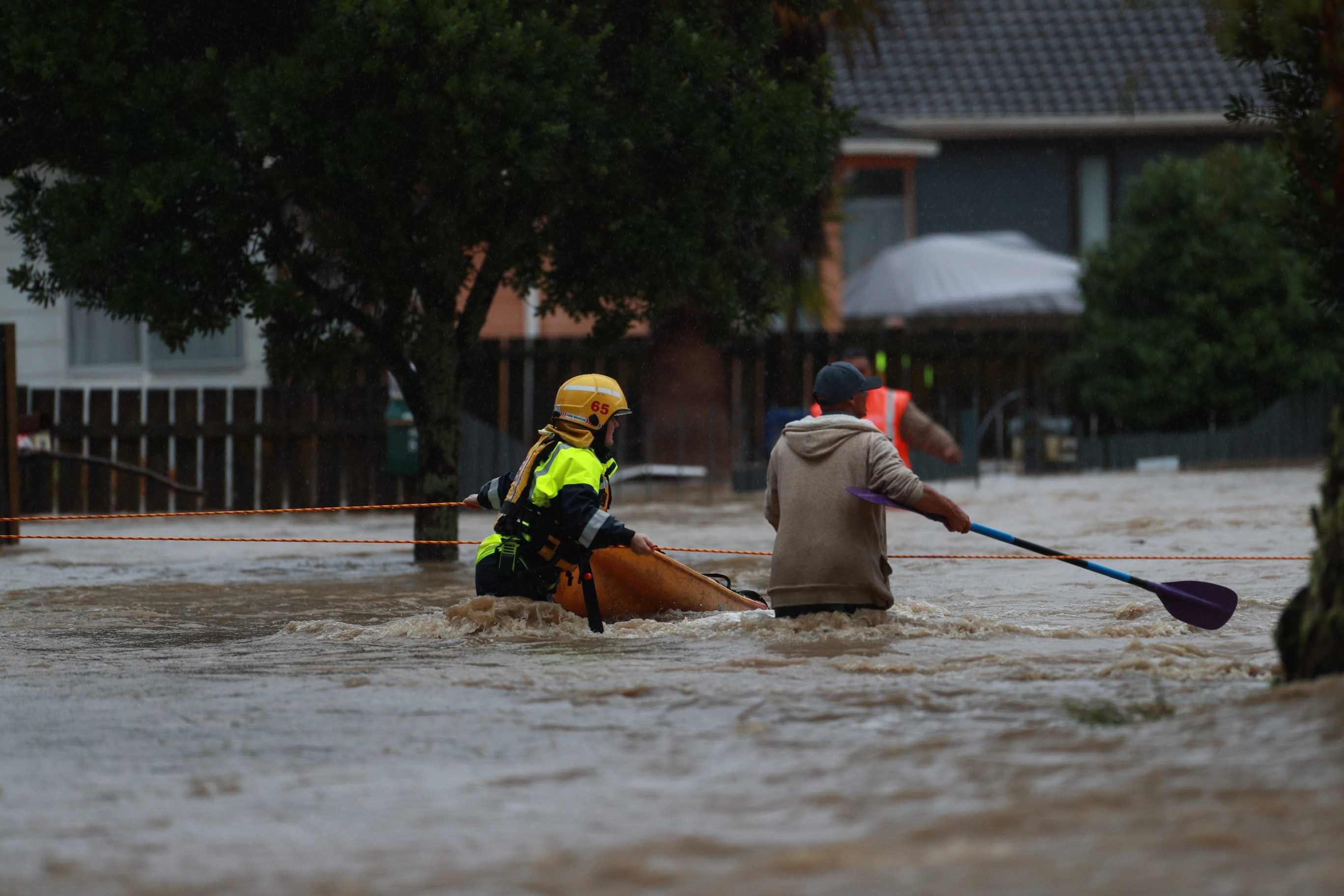 Roman Travers: Wayne Brown and the Weather
