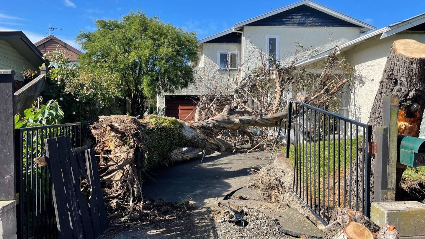 51 calls for help as Wellington hit by freak storm