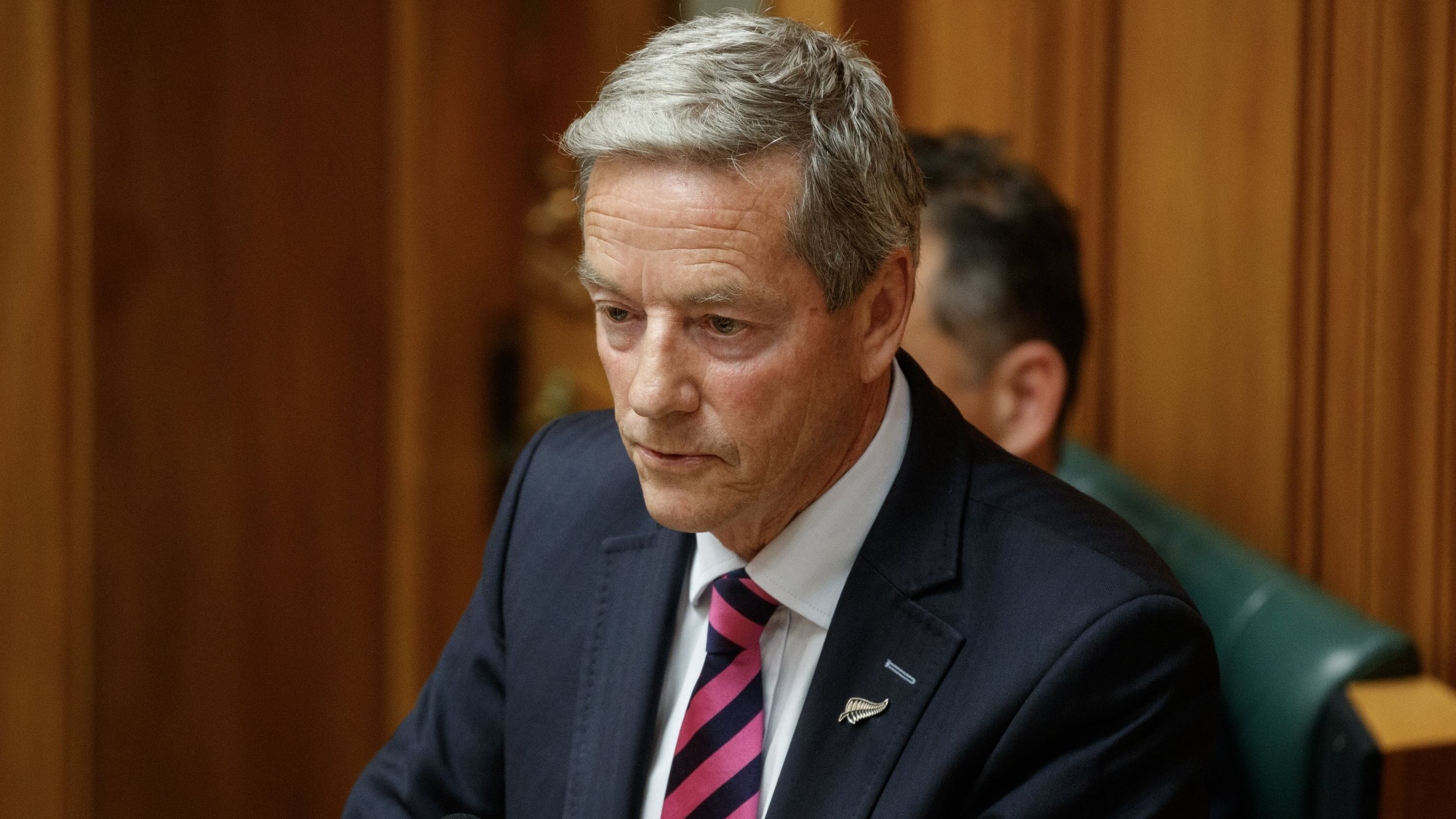 Andrew Bayly stands down as minister after putting hand on staffer