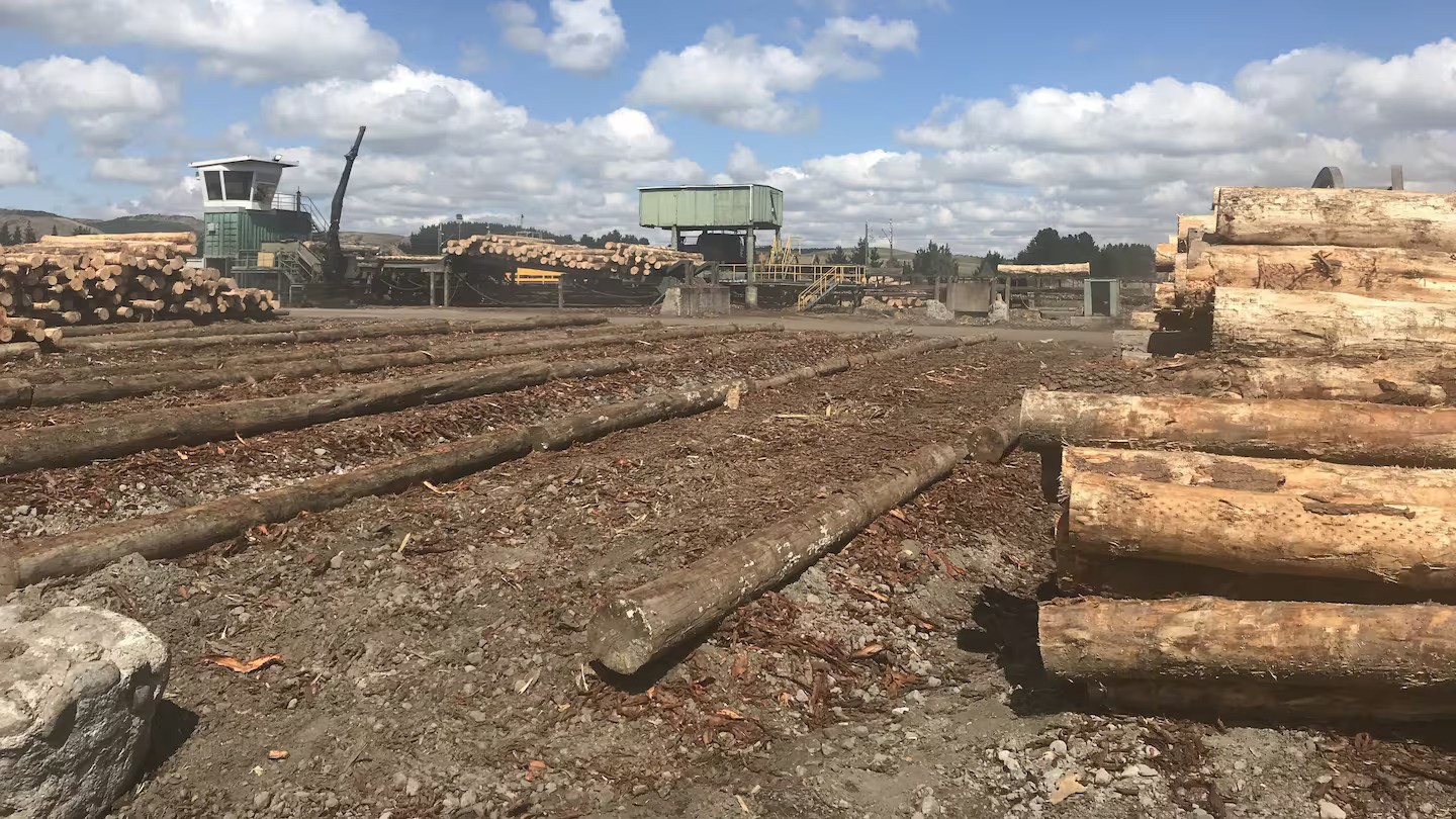 Winstone Pulp International forced to shut down North Island mills