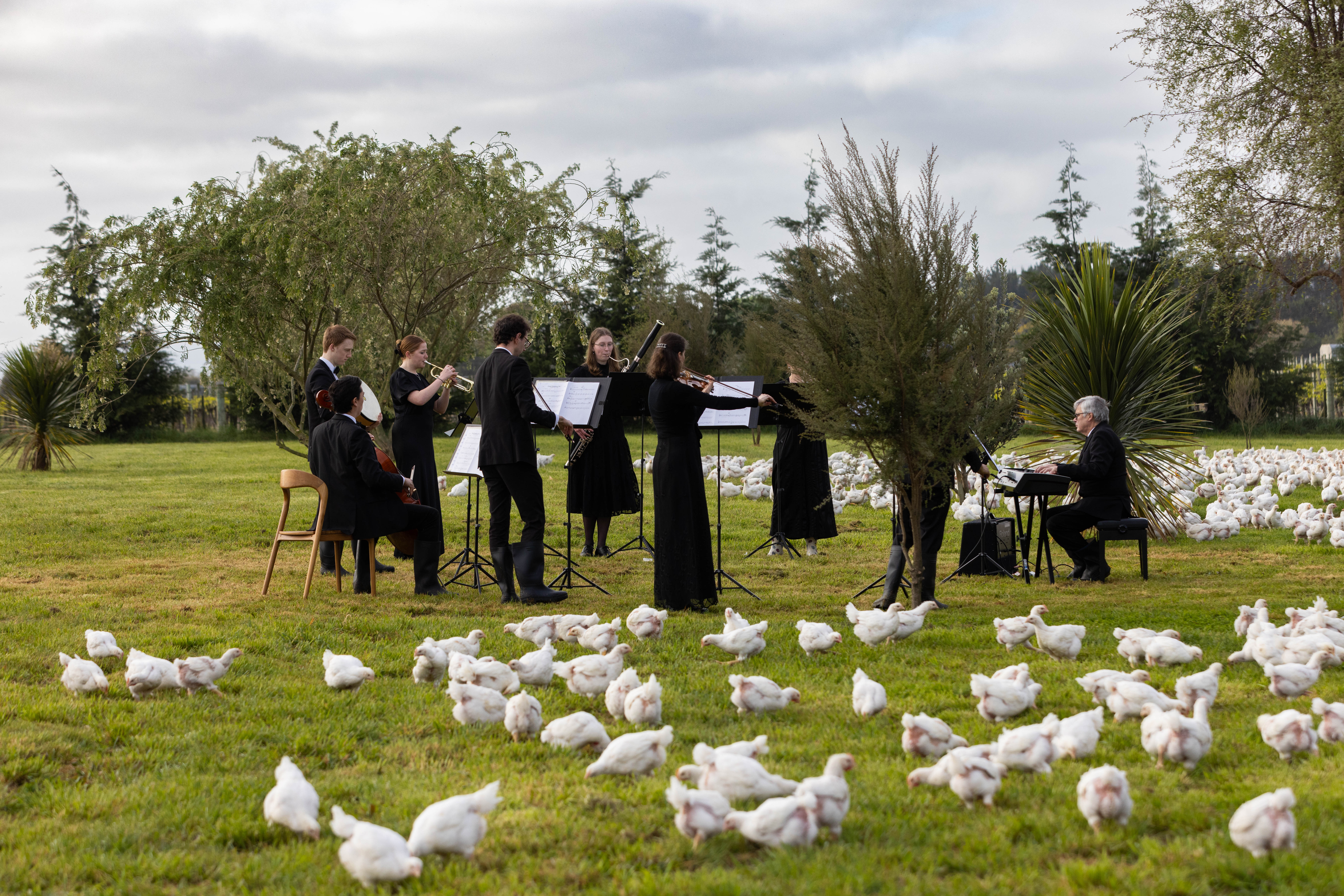 Watch: Audience flocks to NZSO's impeckable performance